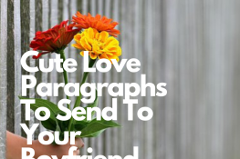 100+ Cute Paragraphs For Her Copy And Paste - Sweetest Messages