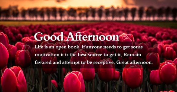 150 Best Good Afternoon Messages - Sweetest Messages