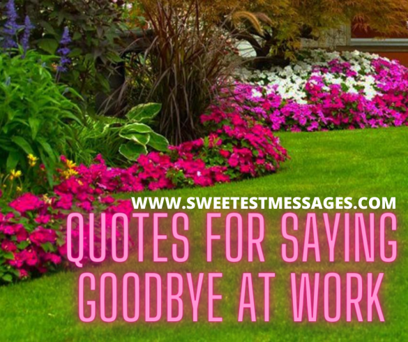 50+ Quotes For Saying Goodbye At Work - Sweetest Messages