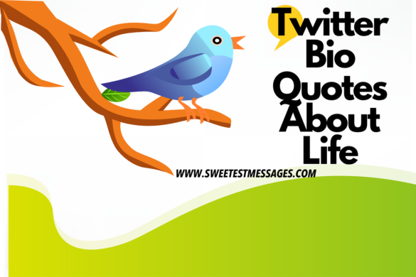 Cool Twitter Bio Ideas: 250+ Twitter Bio - Sweetest Messages